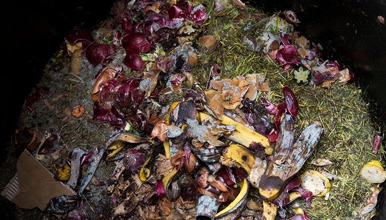 Composting Capacity a Top Issue for Ontario, Canada, Organics Ban