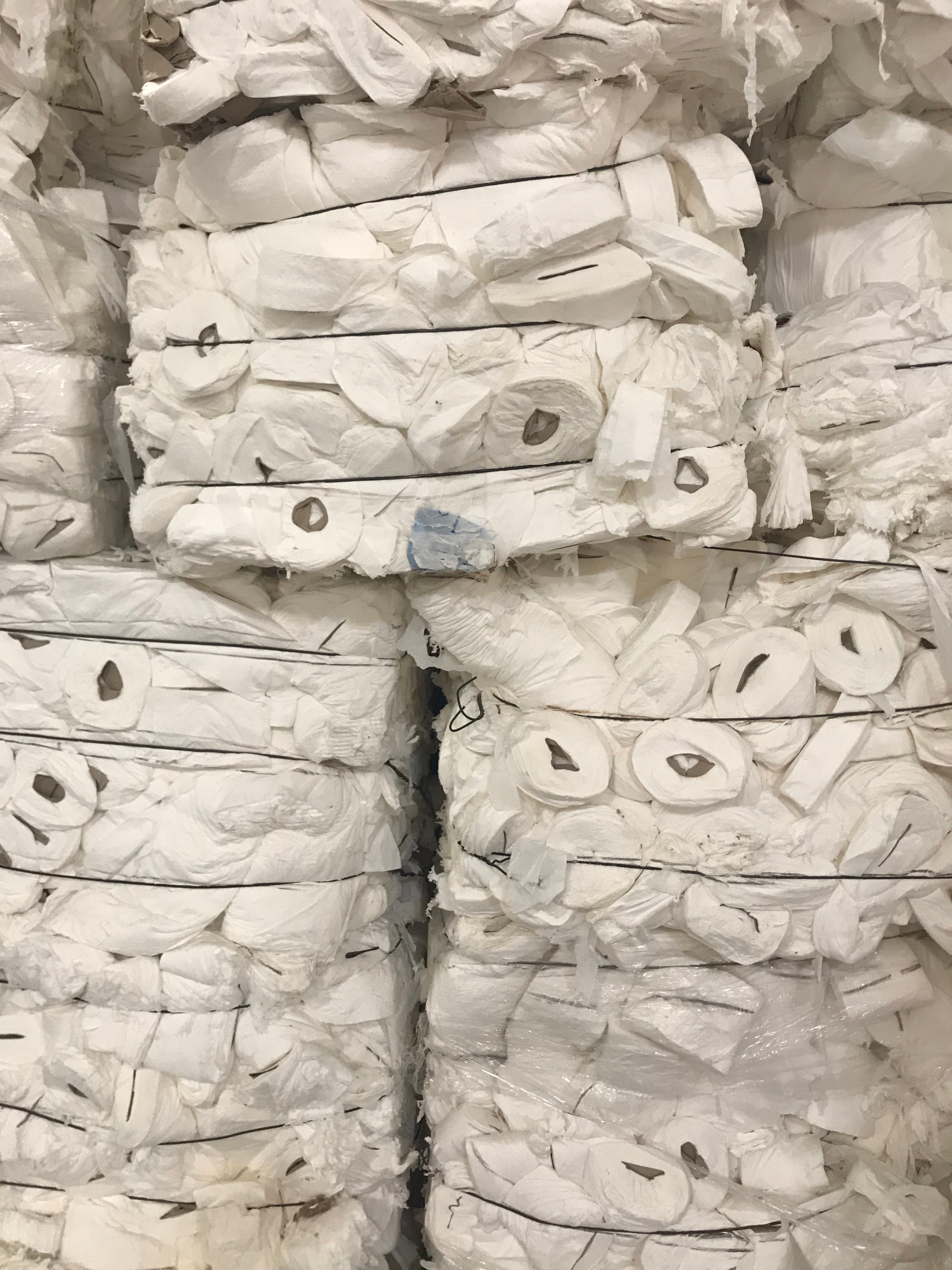 A Look at the “Green Work” of Sofidel’s New Tissue Plant