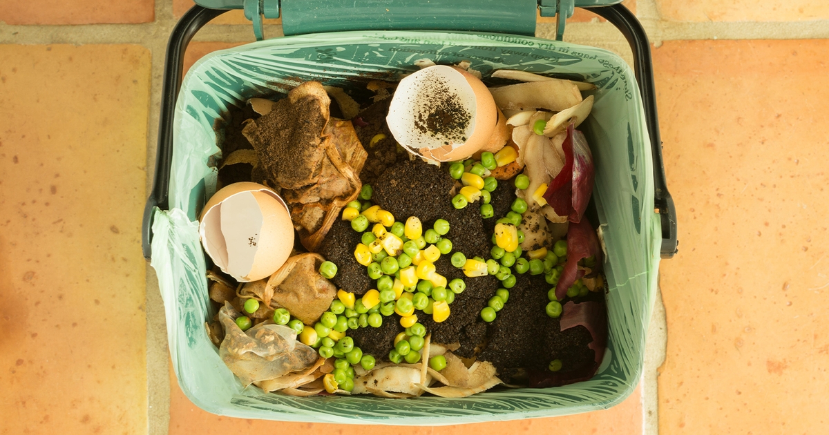 New York City Expands Curbside Compost Program to Bronx, Manhattan, and ...