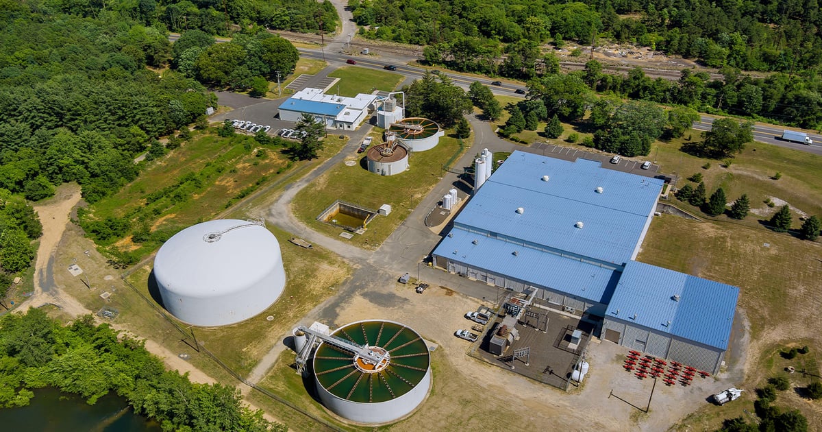 Using Worms to Advance Wastewater Treatment Technology