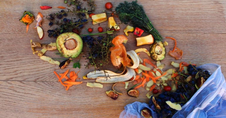 New Toolkit Aims to Keep Food Waste Out of Landfills