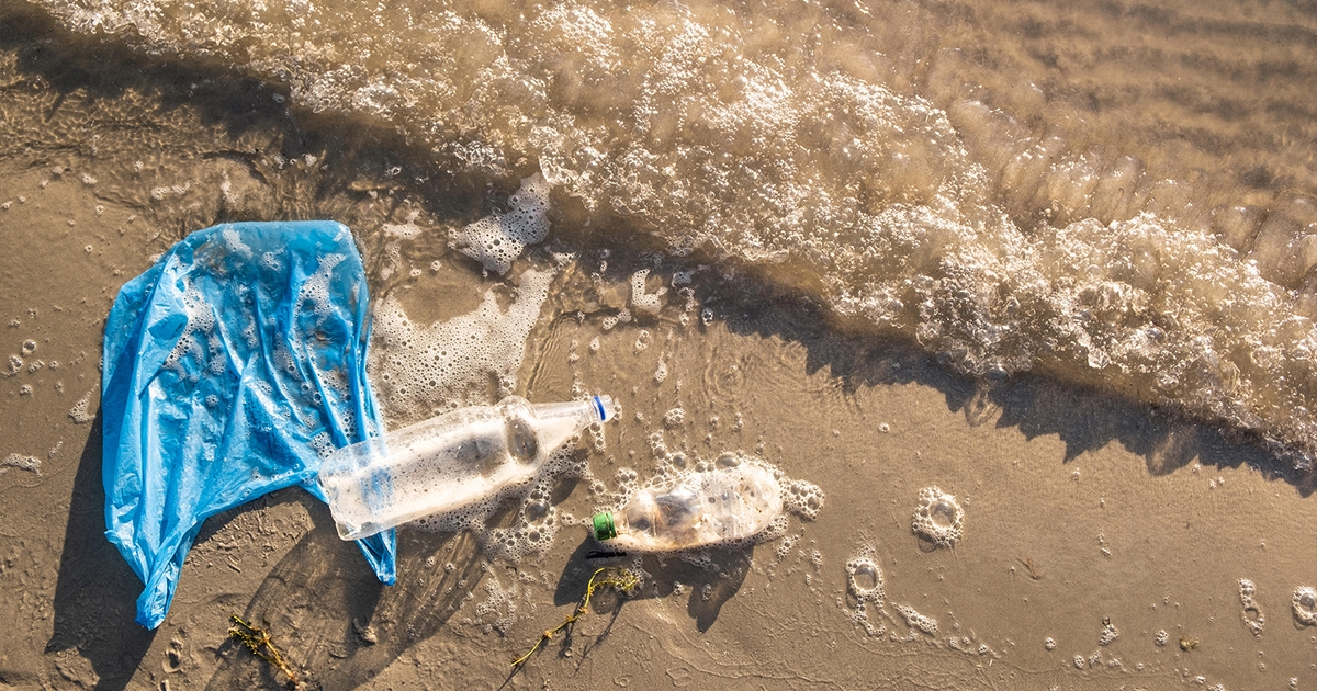 ULM Students, Volunteers Collect 150 Pounds of Litter from Water Ways