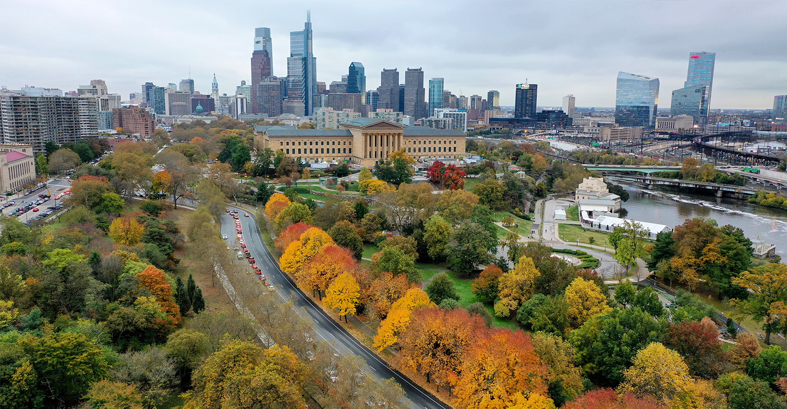 Toshiba Honors Earth Day with Year-Round Reforesting & Recycling