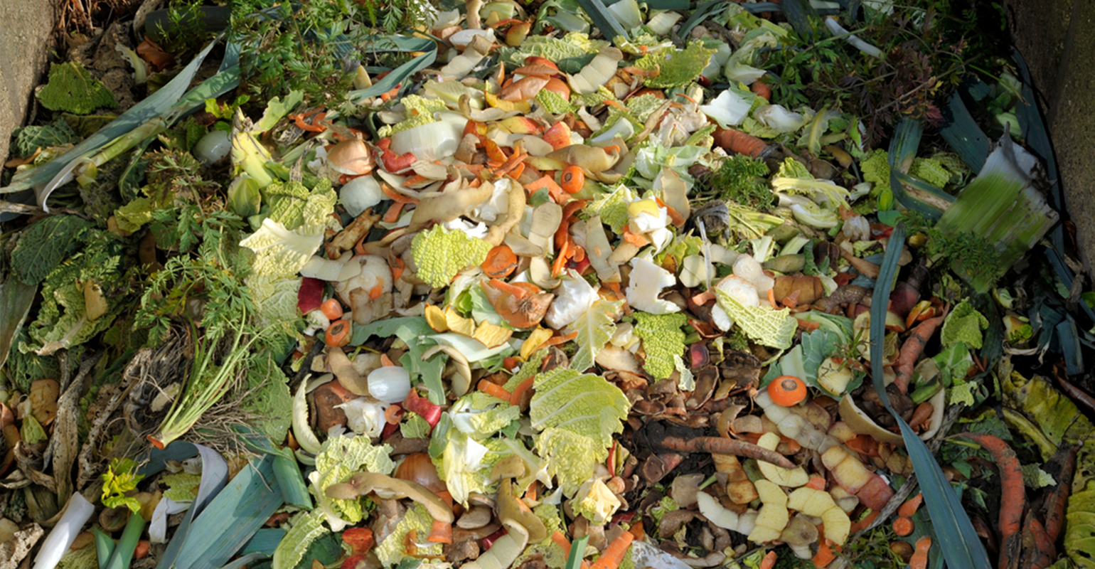 Composting Food Waste