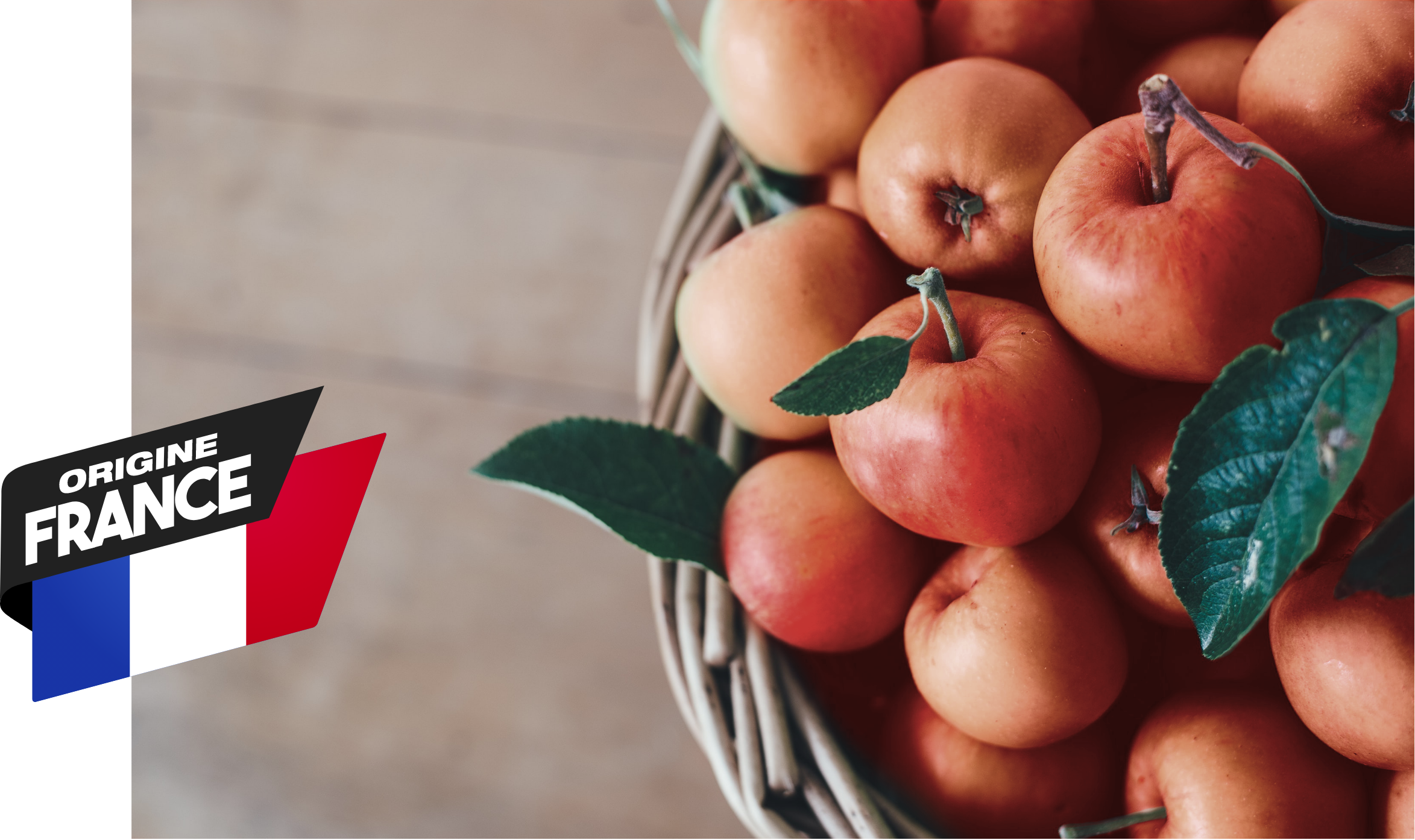 La pomme : le fruit à croquer