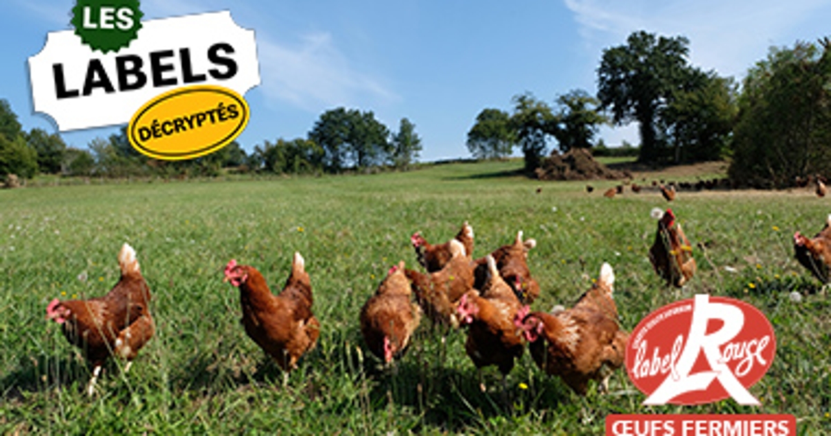 Des œufs Label Rouge | McDonald’s France