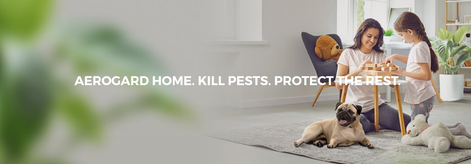 Australia's #1 Personal Insect Repellent Brand | Aerogard AU