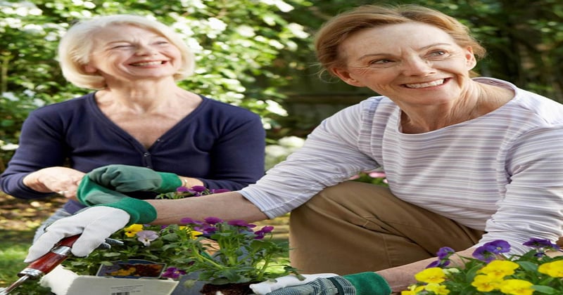 Affinity Living Group