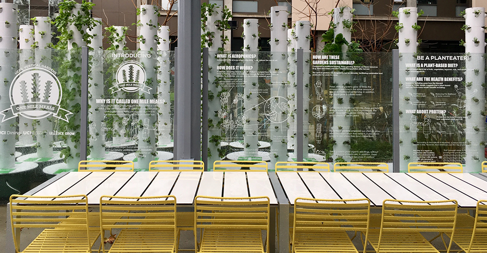 College dining goes ultra local with greens