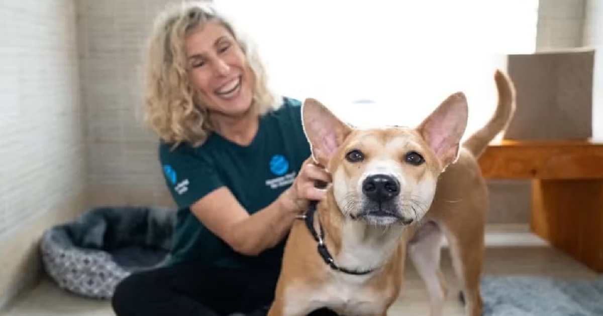 The Humane Society of the United States changes its name to Humane ...