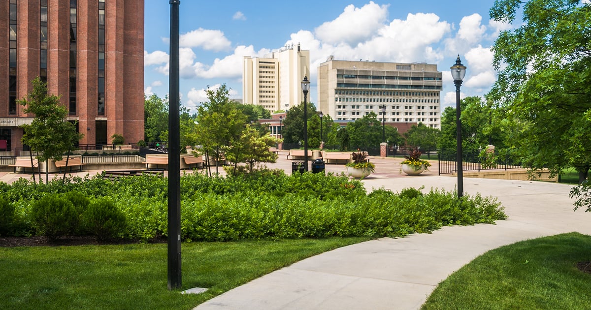 UMass’ Virtual Chef Culinary Conference session strategizes wellness ...