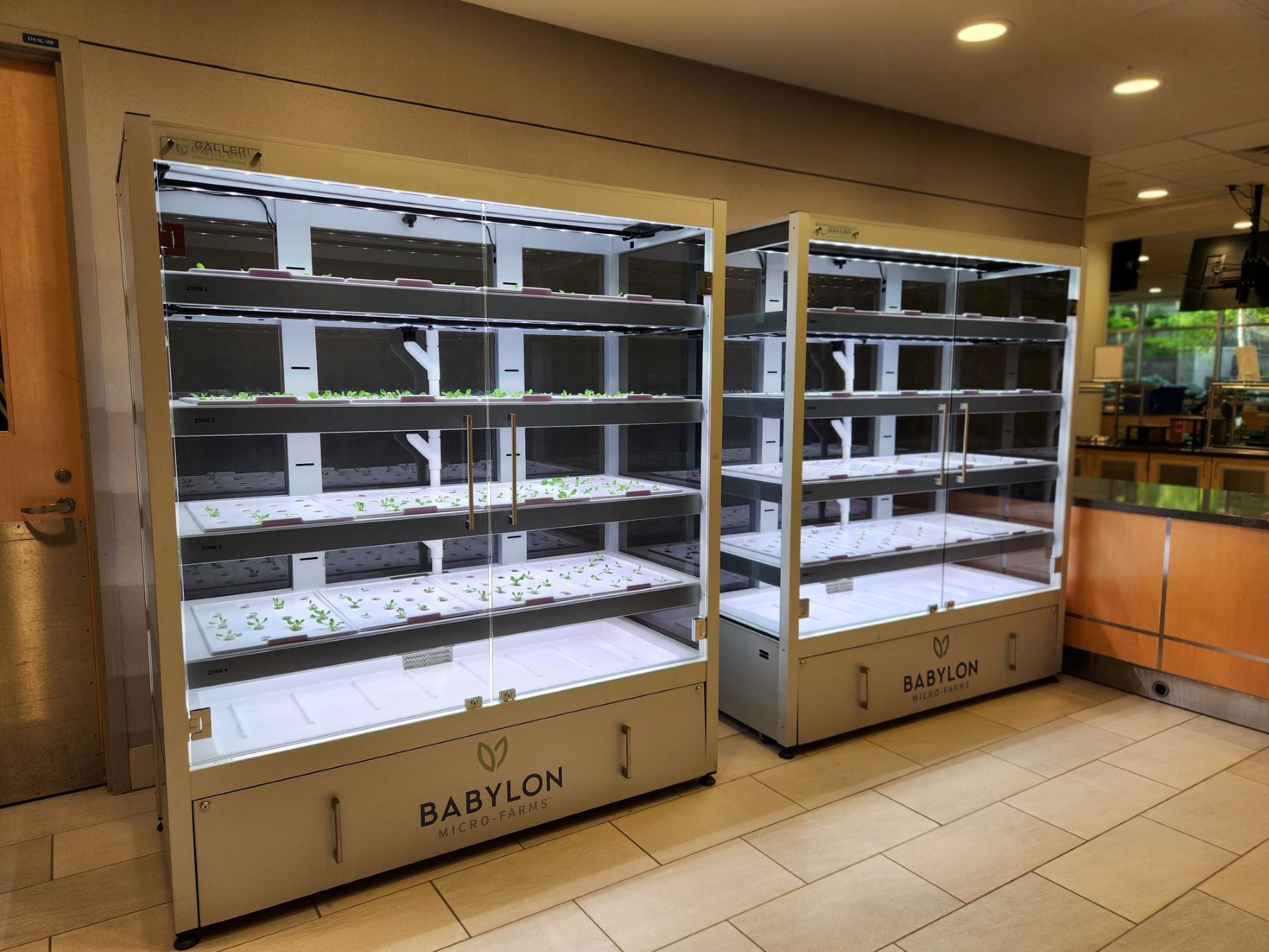 How the Mayo Clinic is bringing new meaning to ‘locally grown’