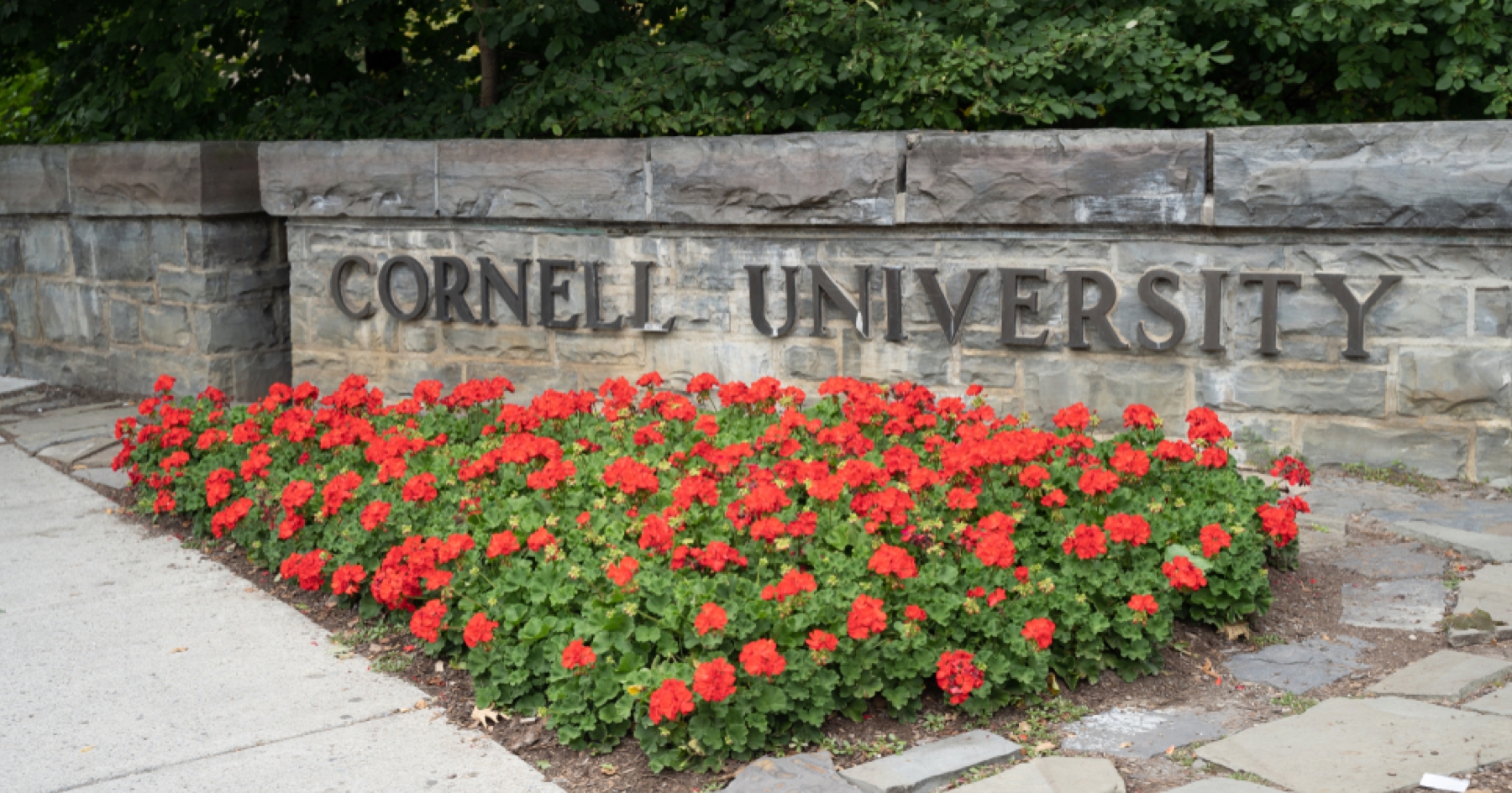 Cornell dining workers go on strike as students return to campus