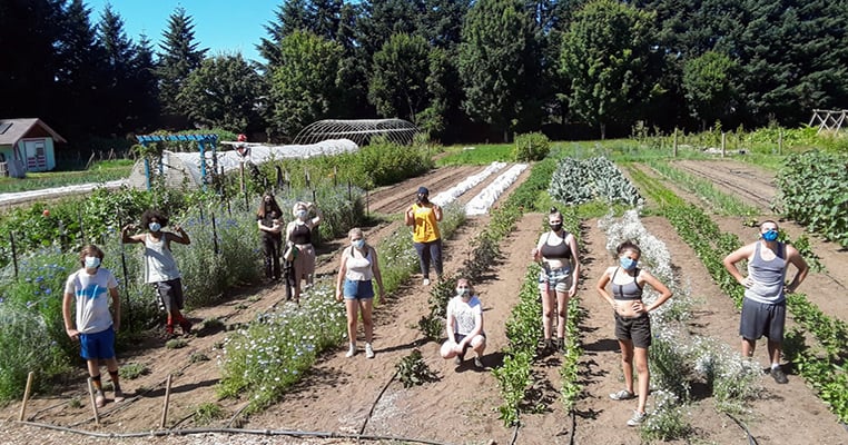 High school farmers bring in the greens