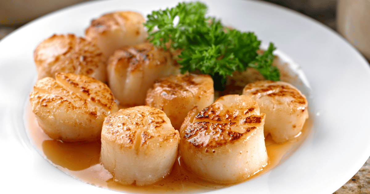 Why Chefs Choose Northern Wind Advantage for Scallops
