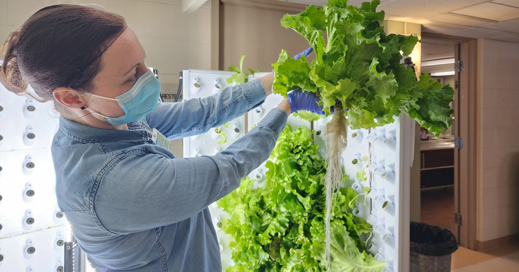 FoodService Director