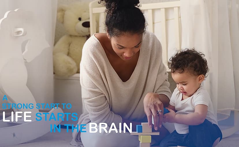 The role of nutrition in early development, synaptogenesis and myelination