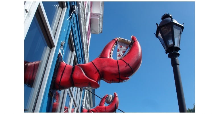 Bar Harbor lets most 2024 cruise calls stand, 2025 will see reduction