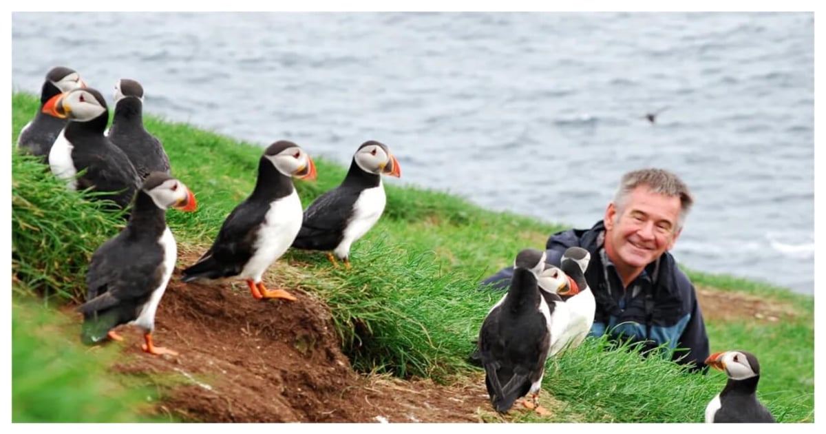 ‘Last Penguin’ documentary to be made with Heritage Expeditions