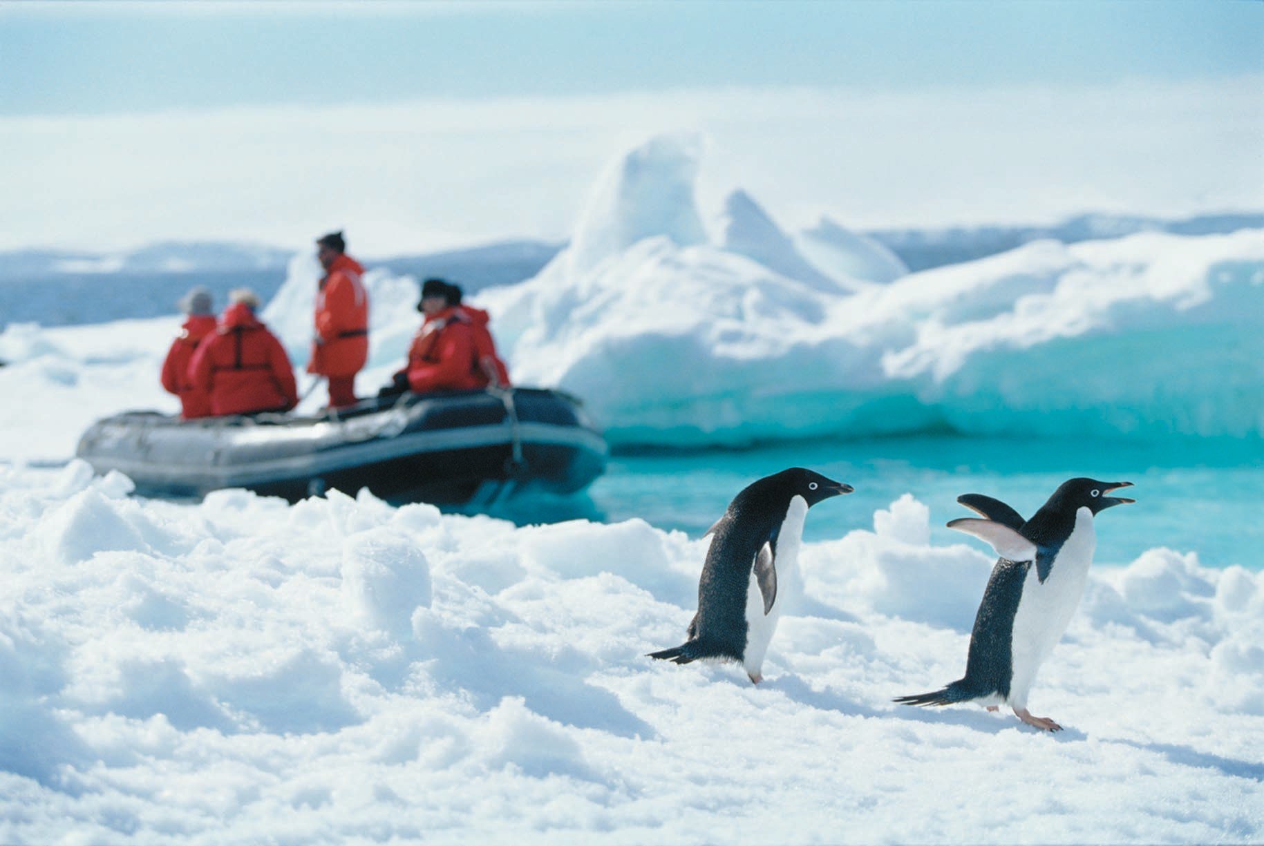 Lindblad webinar promises deep dive into Antarctica geography