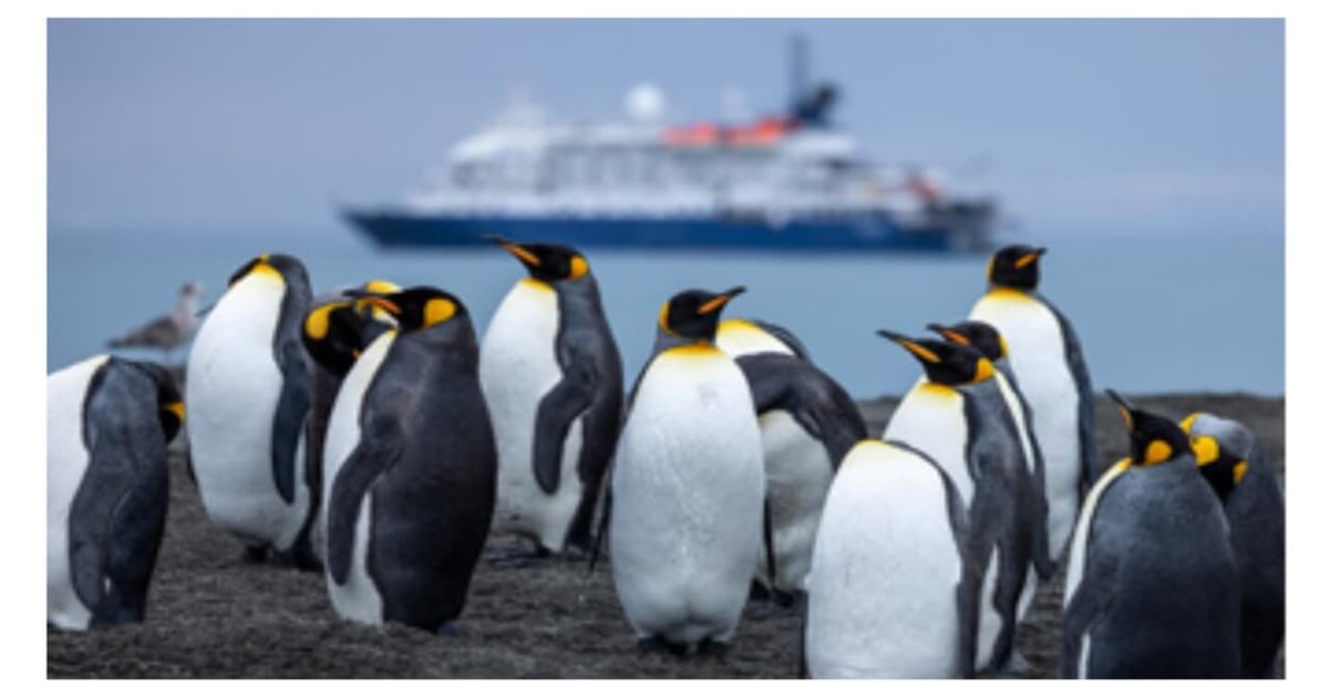 Poseidon Expeditions backs South Georgia Heritage Trust
