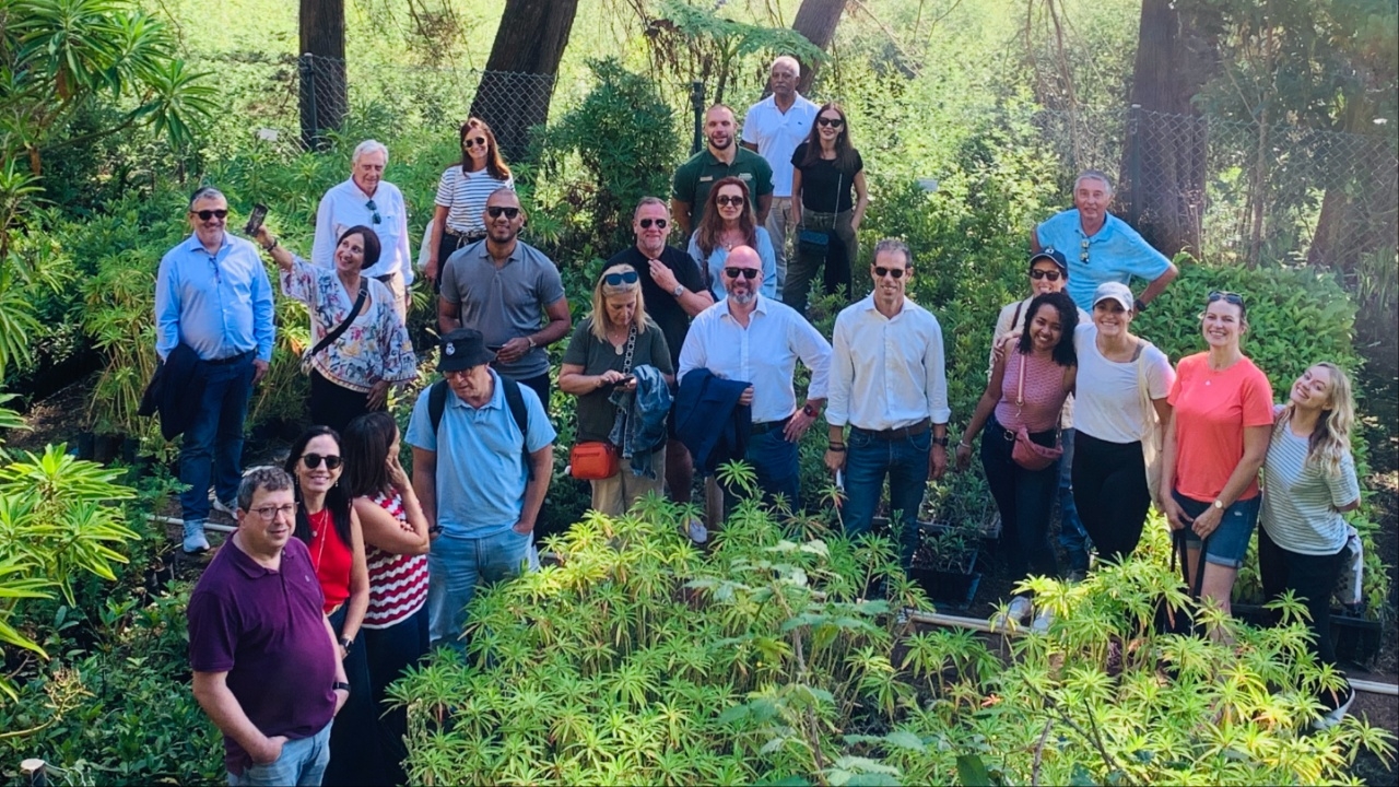 Tree planting action kicks off CAI Conference in Funchal