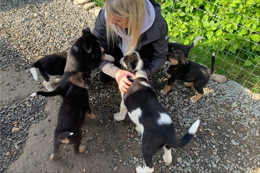 Alta to build new harbour for cruise ships