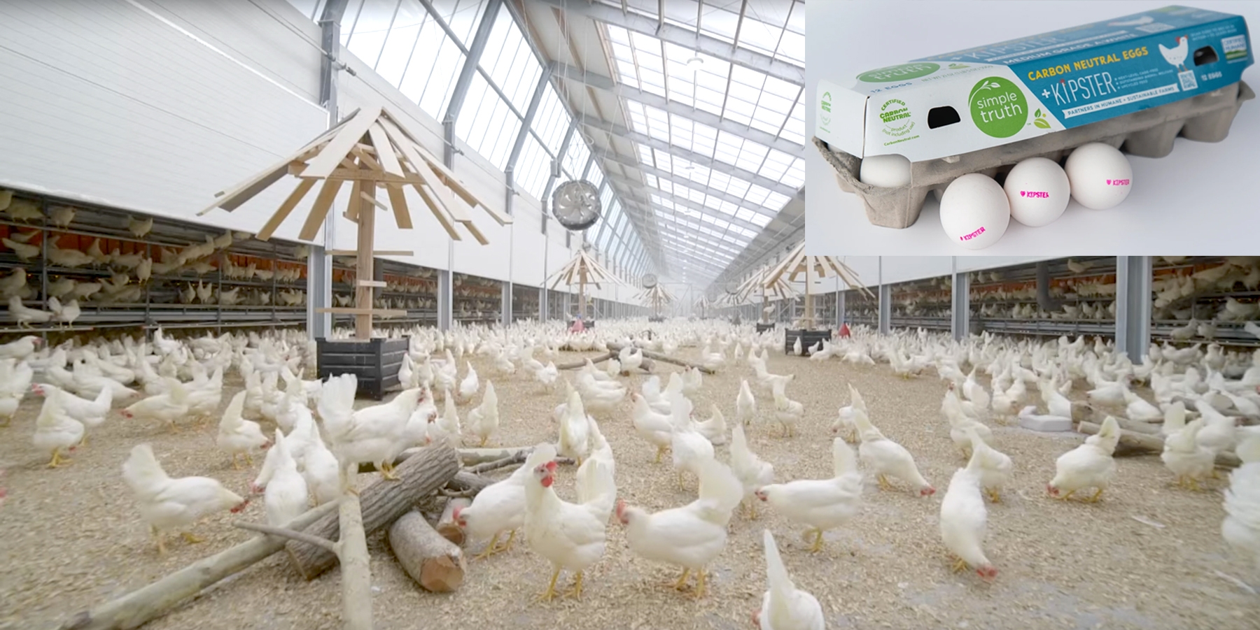 Michigan AG to Kroger: Stores need clearer signage for caged-free eggs