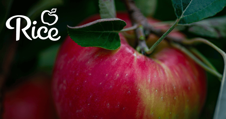 Sweet natured, it describes our fruit and the way we do business.