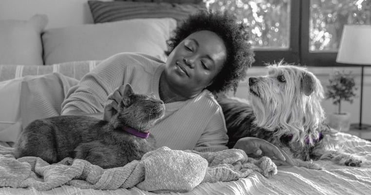 Purina’s Purple Leash Project’s newest goal
