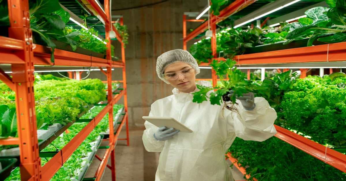 Vertical farms reach a tipping point