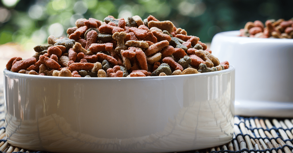 Dry dog food dominates, with premium sales up