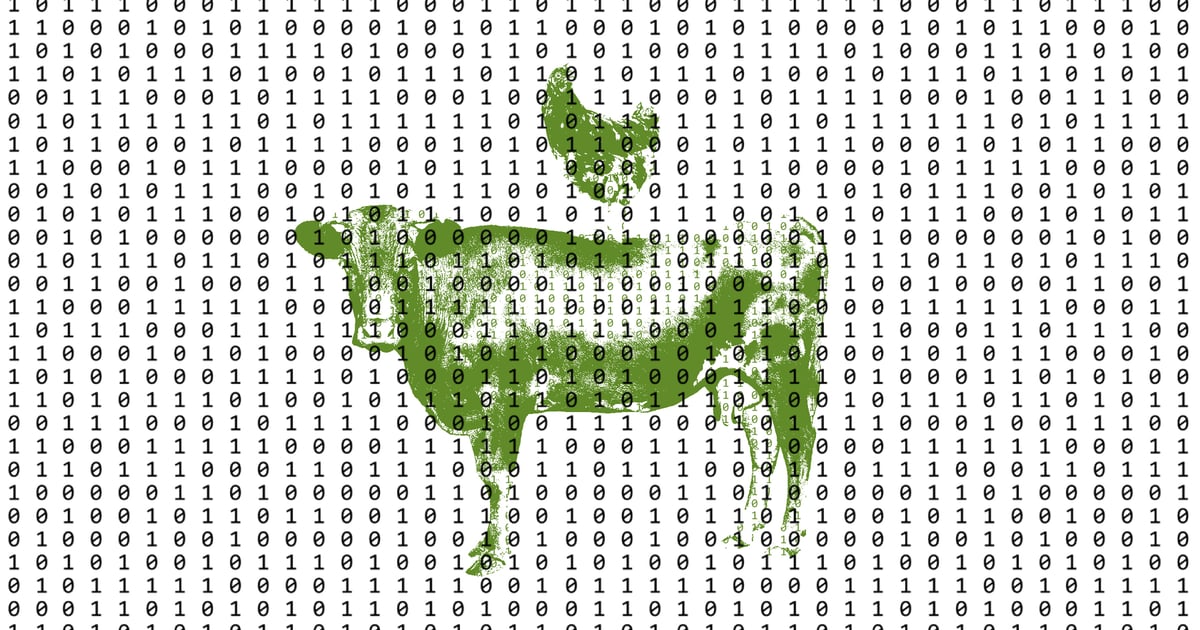 How Data Is Transforming the Meat Case