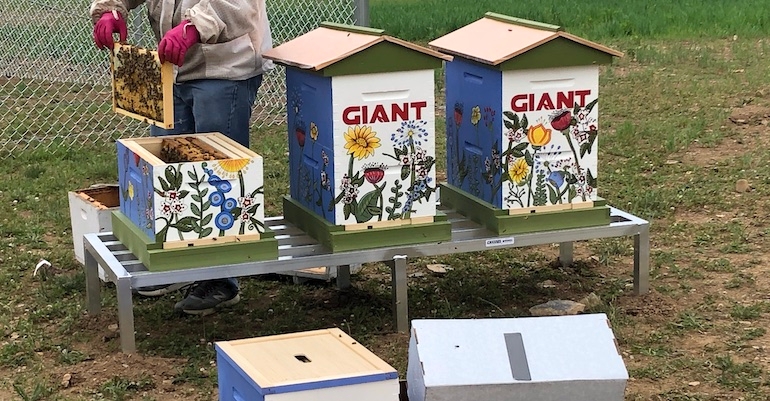 The Giant Company creates pollinator-friendly solar field at HQ