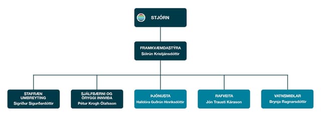 Stjórnendur og stjórn