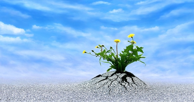 10 Reasons for Optimism in Cybersecurity