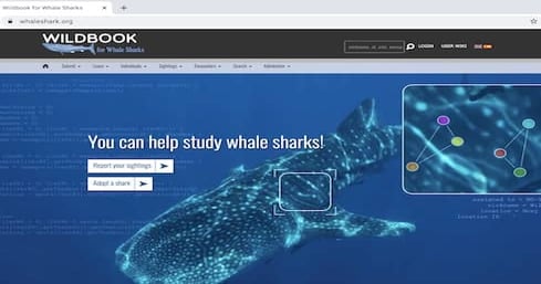 How a Wildlife AI Platform Solved its Data Challenge | InformationWeek