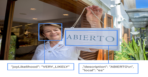 Google Cloud Vision API Gives Glimpse Into AI, Machine Learning ...