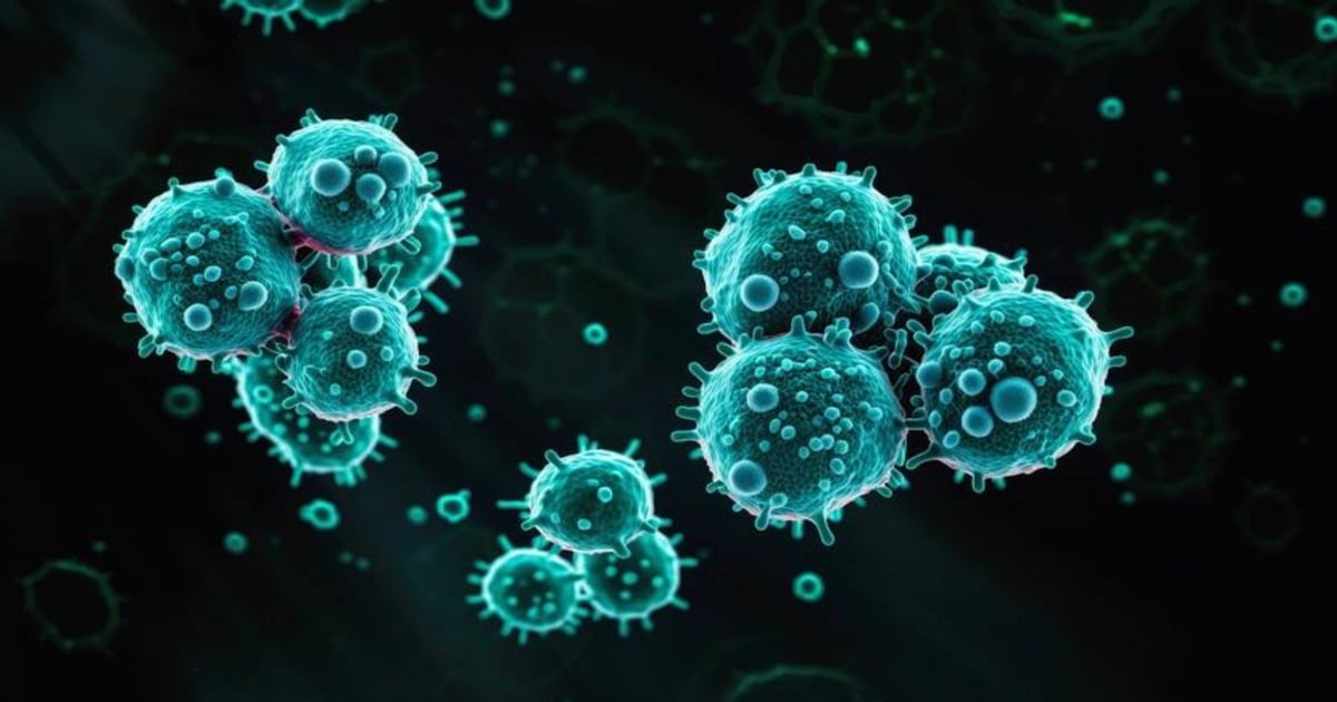 Quantum-Enhanced Gen AI Creates Viable Cancer Drug Candidates