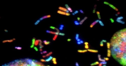 Google shows rapid AI genome sequence method | AI Business