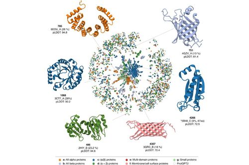 AI researchers unveil a spherical protein-folding model | AI Business