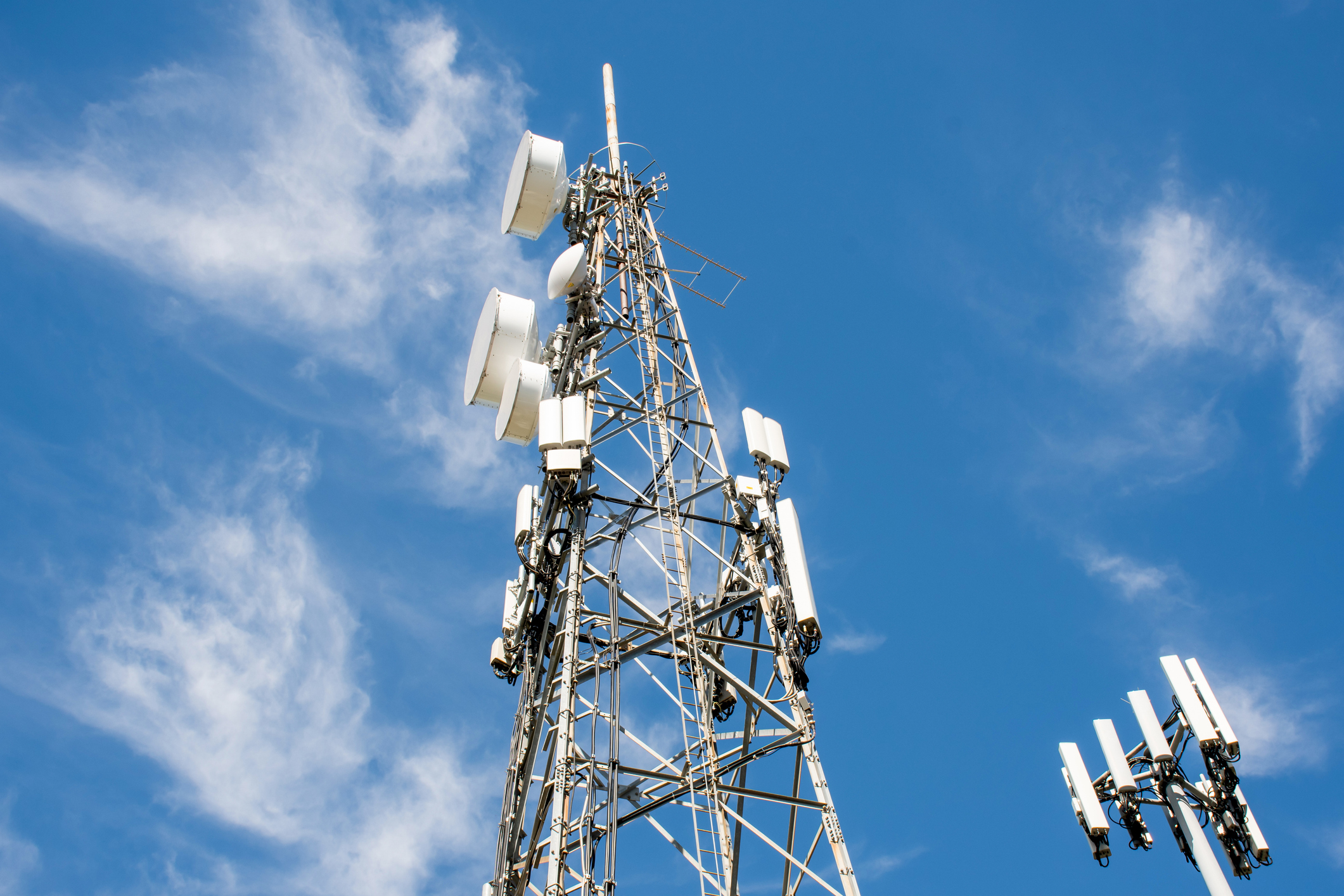 rApps Poised To Push Telecoms Into a New Phase of AI Adoption