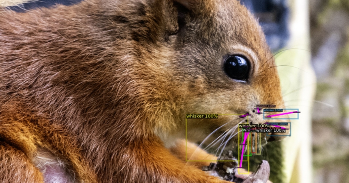 Squirrel AI Agent Aims to Save Dwindling Species