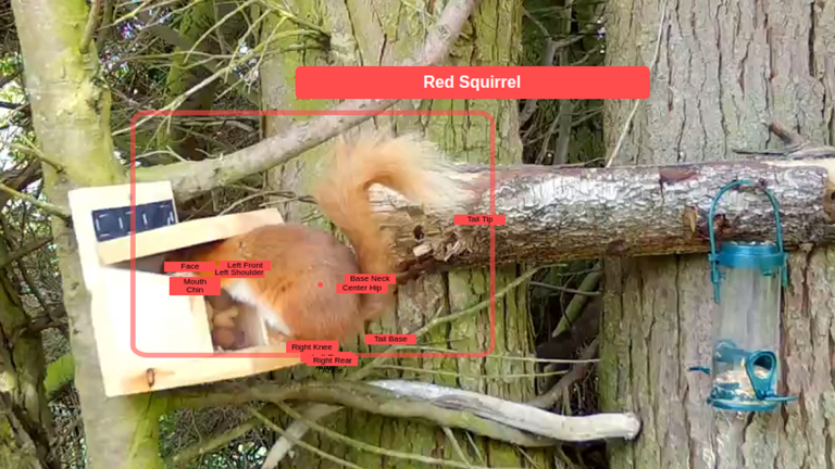 Squirrel AI Agent Aims to Save Dwindling Species