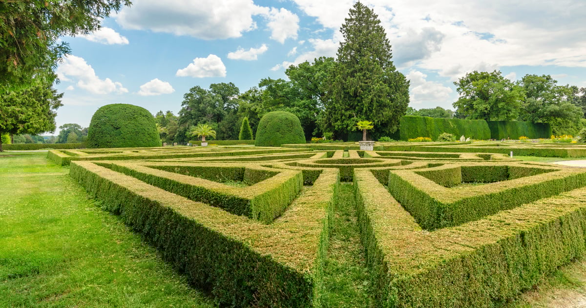 AsyncRAT Spawns a Labyrinth of Forks