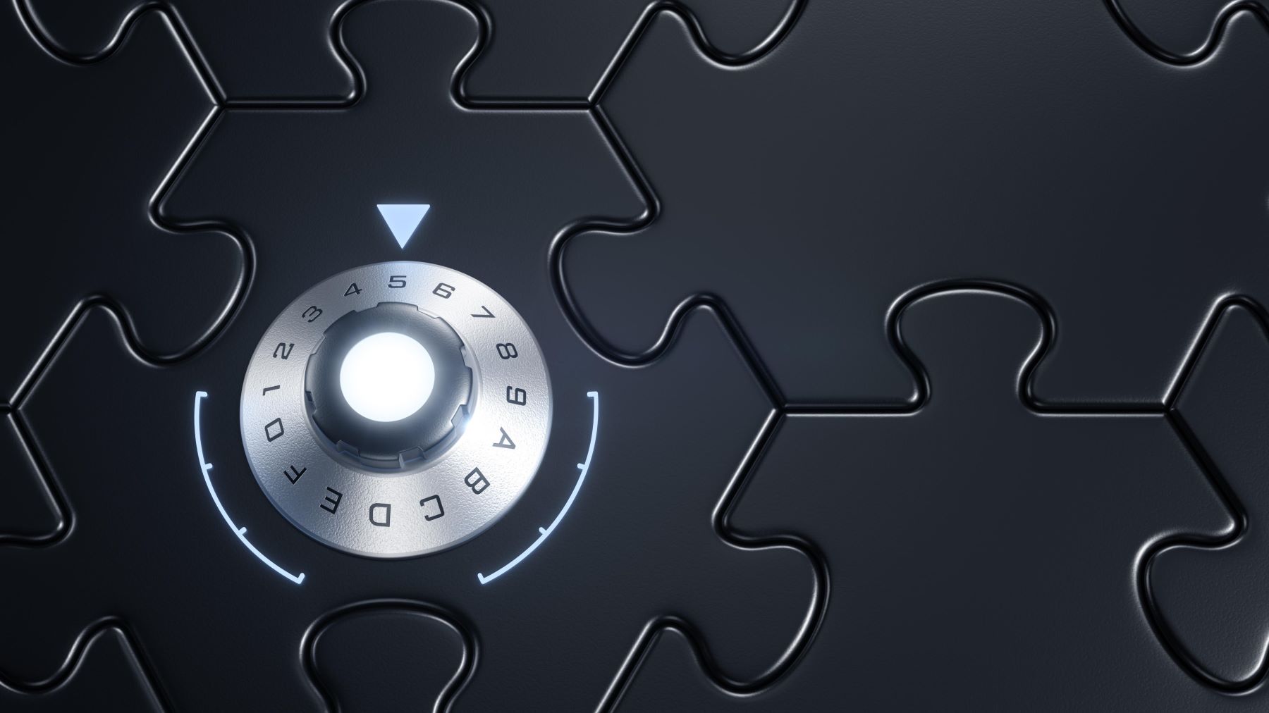 Cross-Site Scripting: 2024's Most Dangerous Software