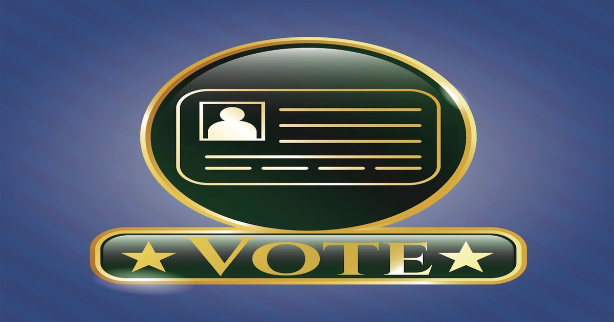 8 Steps Toward Safer Elections