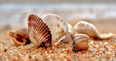 What You Need to Know -- or Remember -- About Web Shells