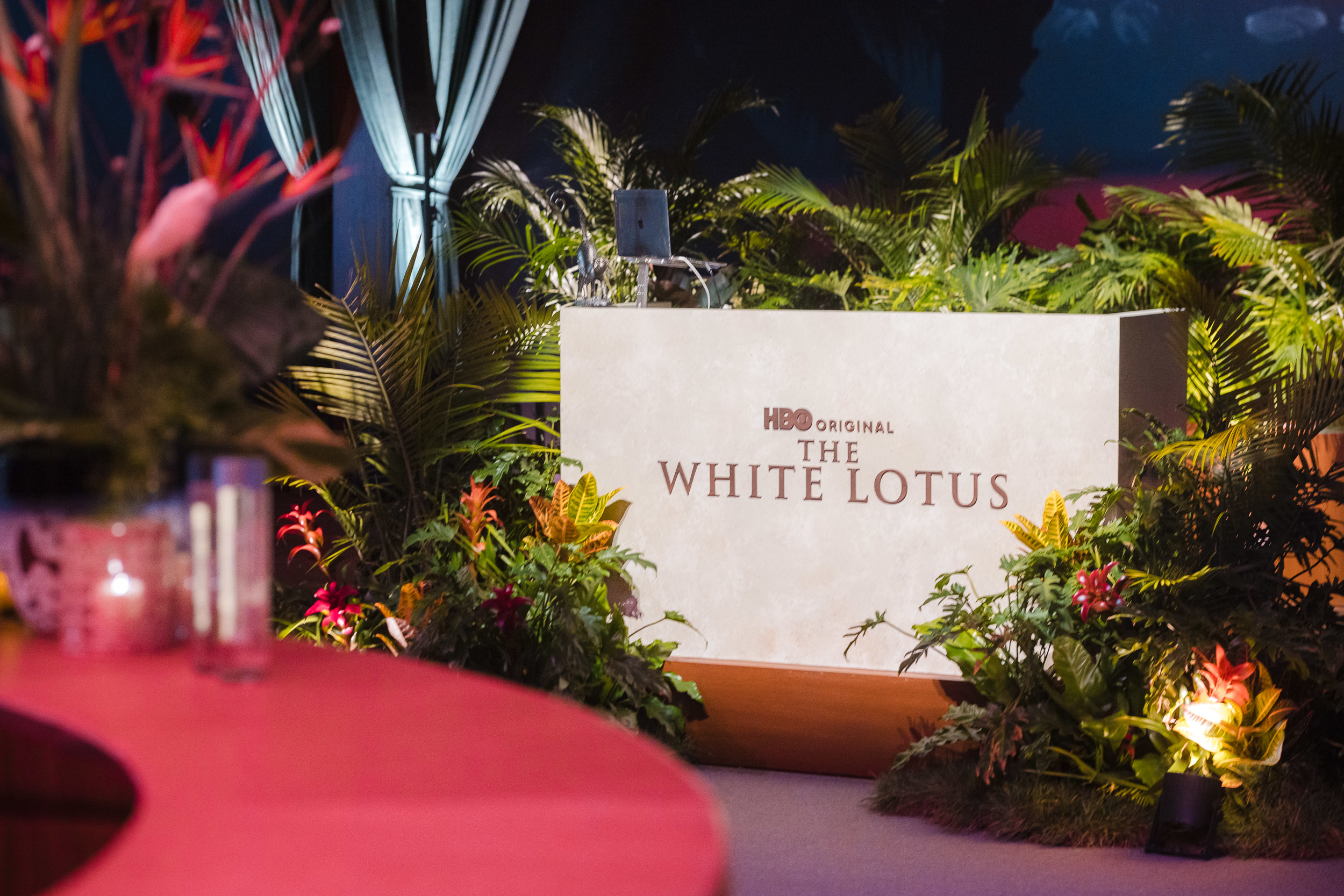 Decor Highlights From 'The White Lotus' Premiere