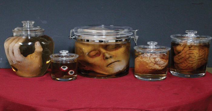 Weird Science: 9 Rental Items for Setting a Morbid Mood